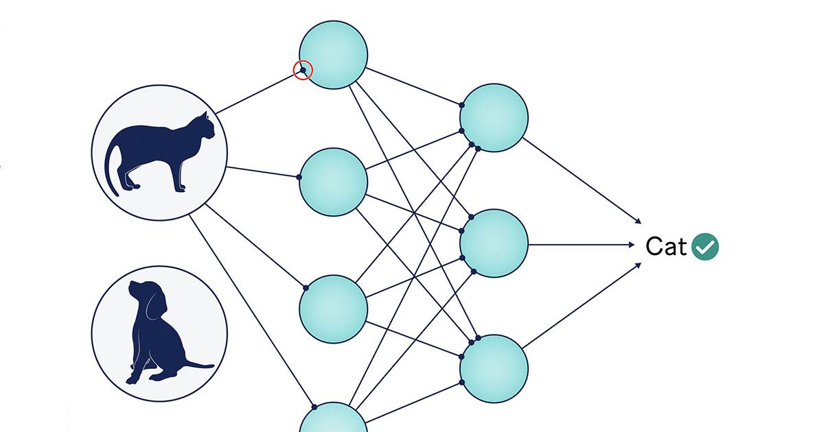 Going Back To What We Know Injecting Physical Insights Into Neural Networks